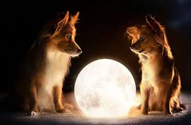 2022 Aries Full Moon in Dog Month - Susan Levitt